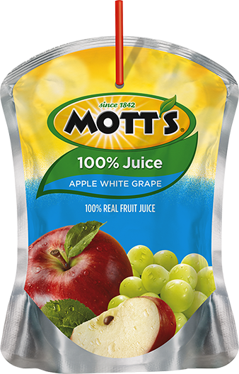 Mott’s Experience | bigmamajo